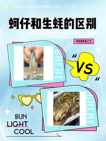 蚵仔是生蚝吗_蚵仔与生蚝区别-第1张图片-山城妙识 蚵仔是生蚝吗_蚵仔与生蚝区别-第1张图片-山城妙识