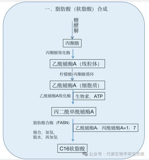 肉桂酸怎么合成_肉桂酸合成路线有哪些-第2张图片-山城妙识
