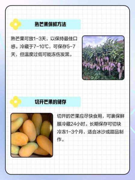 芒果怎么保存_芒果可以放冰箱吗-第3张图片-山城妙识