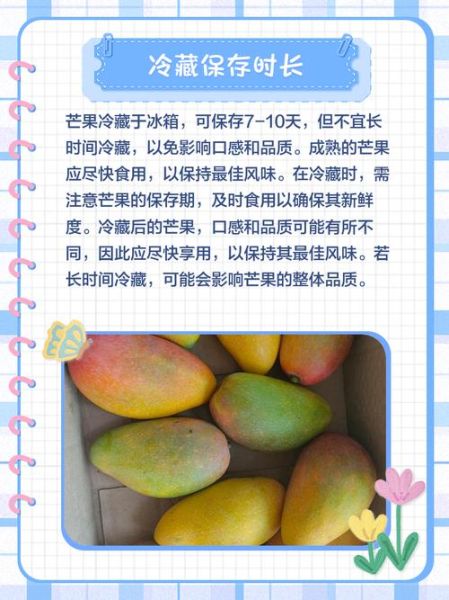 芒果怎么保存_芒果可以放冰箱吗-第1张图片-山城妙识