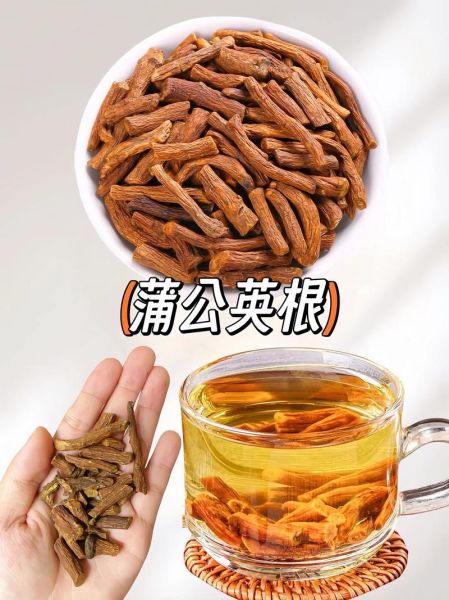 蒲公英怎么泡水喝_蒲公英根和叶哪个更好-第1张图片-山城妙识