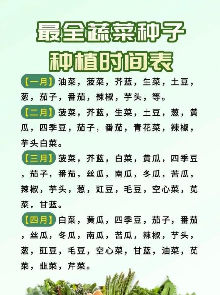 菠菜什么时候播种最好_菠菜种植技术要点-第3张图片-山城妙识