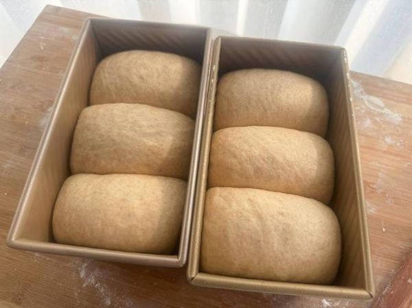 面包网app下载安全吗_面包网app下载最新版在哪下-第2张图片-山城妙识