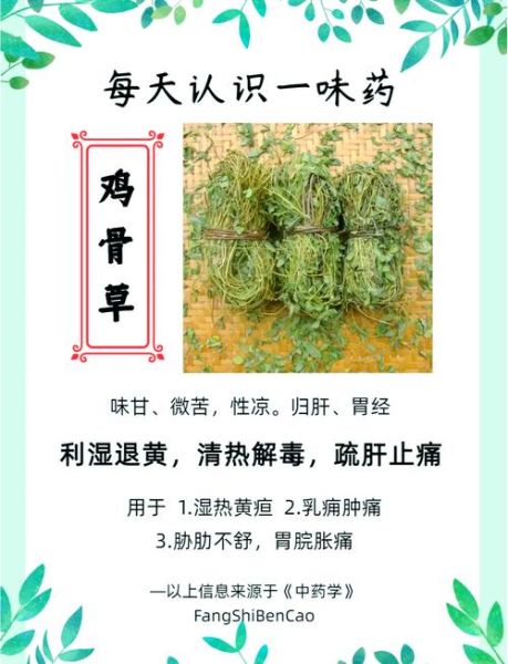 鸡骨草禁忌_鸡骨草副作用有哪些-第1张图片-山城妙识