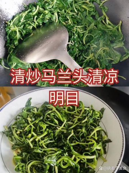 清炒马兰头怎么做_清炒马兰头焯水多久-第1张图片-山城妙识