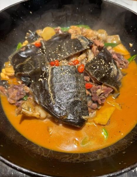 清炖甲鱼汤怎么做_清炖甲鱼汤的做法大全-第2张图片-山城妙识