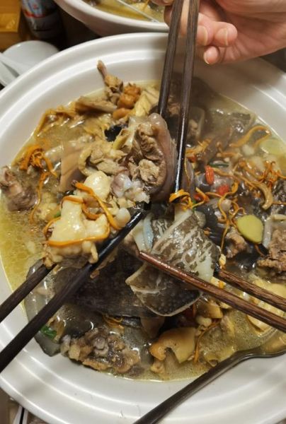 清炖甲鱼汤怎么做_清炖甲鱼汤的做法大全-第1张图片-山城妙识