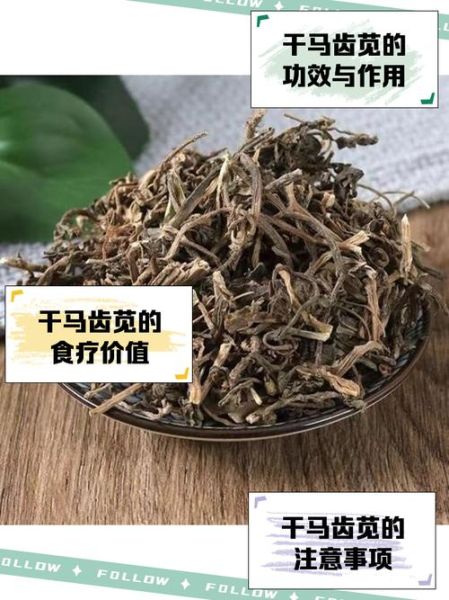 马齿苋晒干了有功效吗_马齿苋干的功效与作用-第1张图片-山城妙识