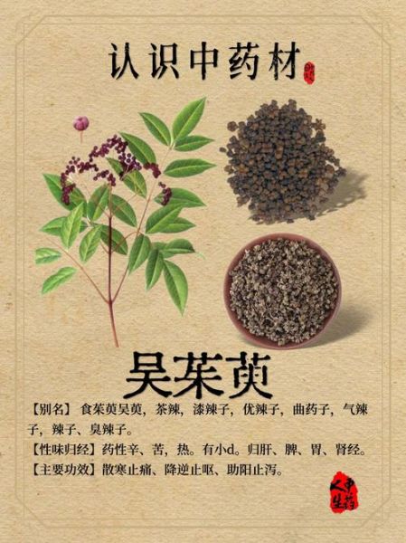 山茱萸和吴茱萸的区别_如何快速区分-第1张图片-山城妙识