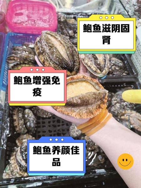 鲍鱼有什么营养价值_鲍鱼的功效与作用-第2张图片-山城妙识