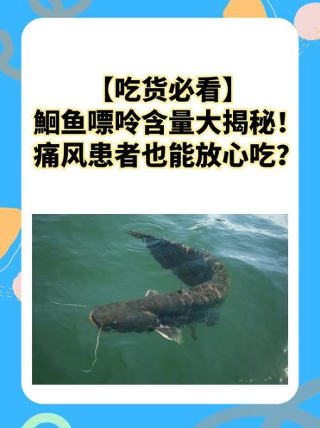 鲮鱼什么人不能吃_痛风患者能吃吗-第1张图片-山城妙识