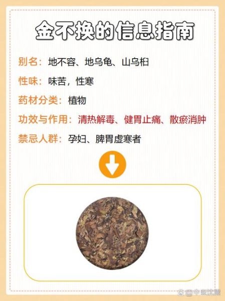 金不换是什么_金不换的功效与作用-第1张图片-山城妙识