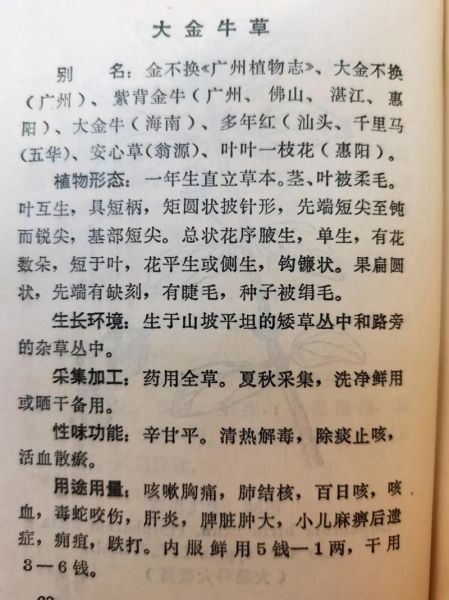 金不换是什么_金不换的功效与作用-第2张图片-山城妙识