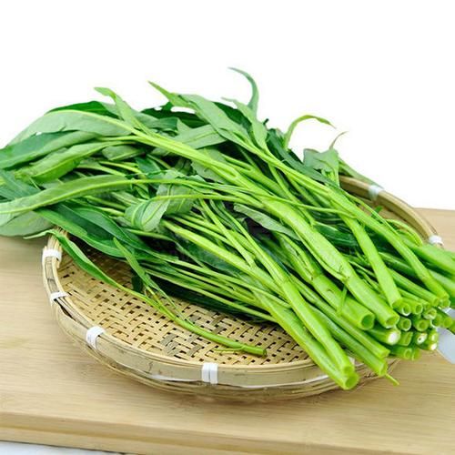 空心菜图片大全大图真实_空心菜怎么挑选最新鲜-第1张图片-山城妙识