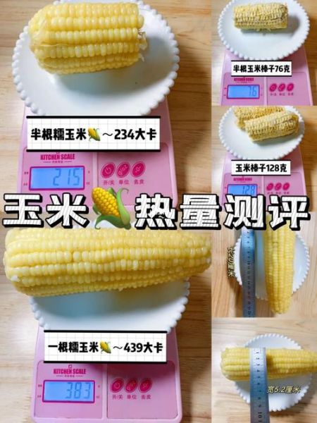 玉米的热量高吗_一根玉米多少大卡-第1张图片-山城妙识