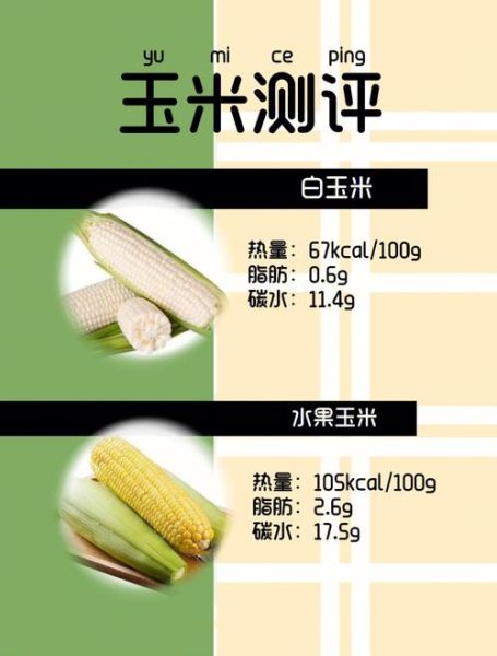 玉米的热量高吗_一根玉米多少大卡-第3张图片-山城妙识