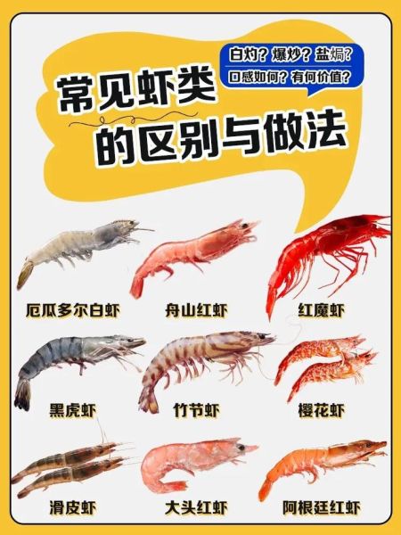 虾的品种大全_常见虾类怎么区分-第2张图片-山城妙识 虾的品种大全_常见虾类怎么区分-第2张图片-山城妙识