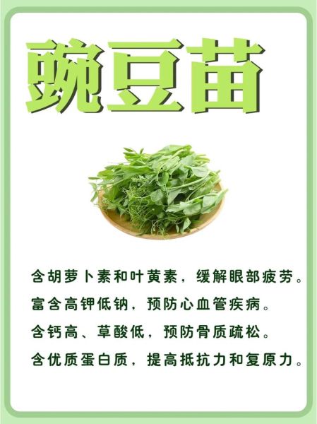 豌豆尖的功效与作用禁忌_孕妇能吃吗-第1张图片-山城妙识