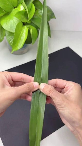 棕叶编织教程_棕叶编织能做什么-第2张图片-山城妙识 棕叶编织教程_棕叶编织能做什么-第2张图片-山城妙识