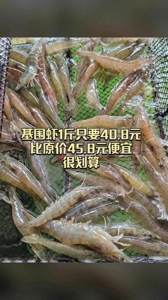 基围虾多少钱一斤2021_2021年基围虾价格走势-第3张图片-山城妙识 基围虾多少钱一斤2021_2021年基围虾价格走势-第3张图片-山城妙识