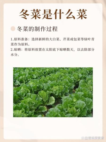 冬菜怎么做_冬菜腌制方法-第3张图片-山城妙识