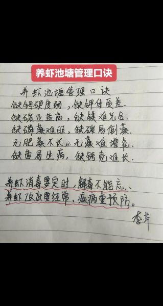 对虾怎么养不会死_对虾养殖新手常见问题-第2张图片-山城妙识