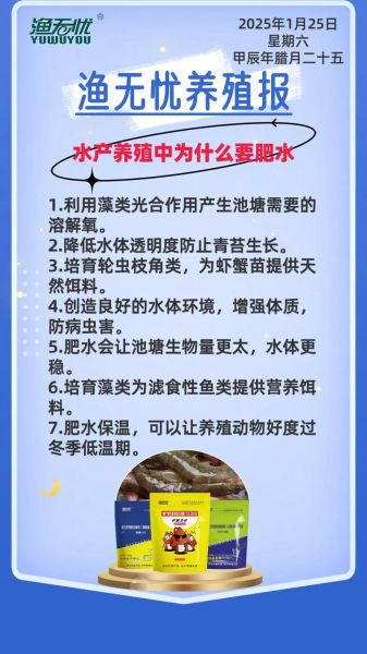 对虾怎么养不会死_对虾养殖新手常见问题-第1张图片-山城妙识