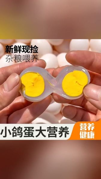 小孩长期吃鸽子蛋好不好_鸽子蛋营养价值-第2张图片-山城妙识