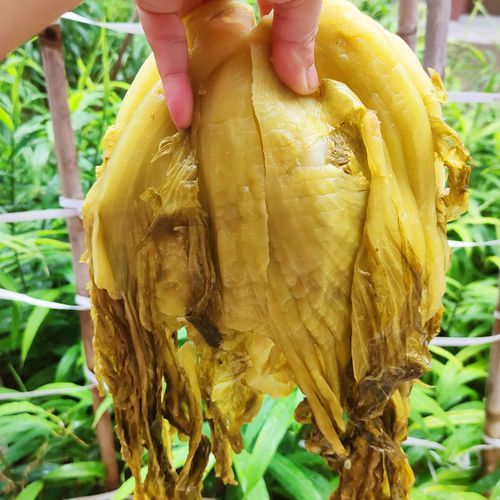 酸青菜的腌制方法_如何腌制酸青菜更脆-第2张图片-山城妙识
