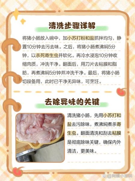 洗猪肠子最快最干净的方法_猪肠子怎么洗才没异味-第1张图片-山城妙识