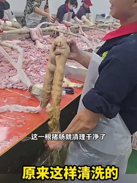 洗猪肠子最快最干净的方法_猪肠子怎么洗才没异味-第3张图片-山城妙识