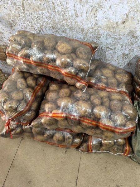 全国最大的蔬菜批发网在哪_怎么找一手货源-第3张图片-山城妙识