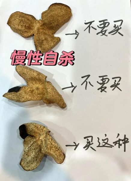 陈皮和橘子皮有什么区别_陈皮与橘子皮的功效差异-第3张图片-山城妙识