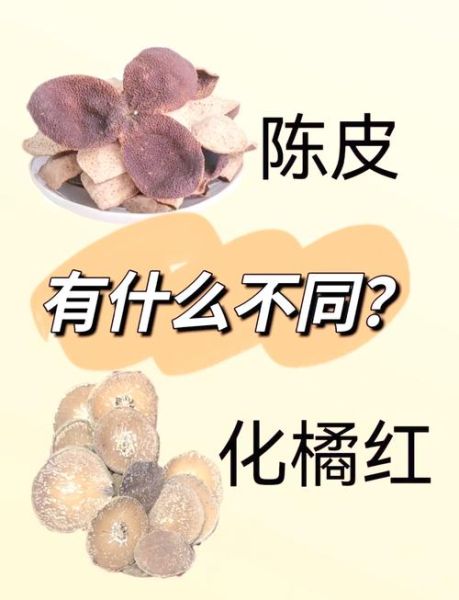 陈皮和橘子皮有什么区别_陈皮与橘子皮的功效差异-第2张图片-山城妙识