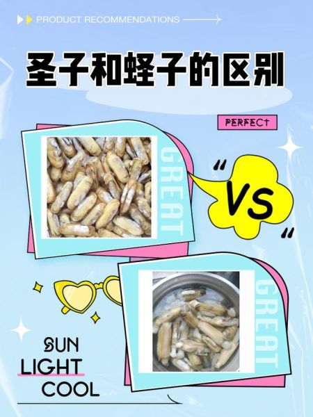 蛏子鼻子是什么东西_蛏子鼻子能吃吗-第1张图片-山城妙识