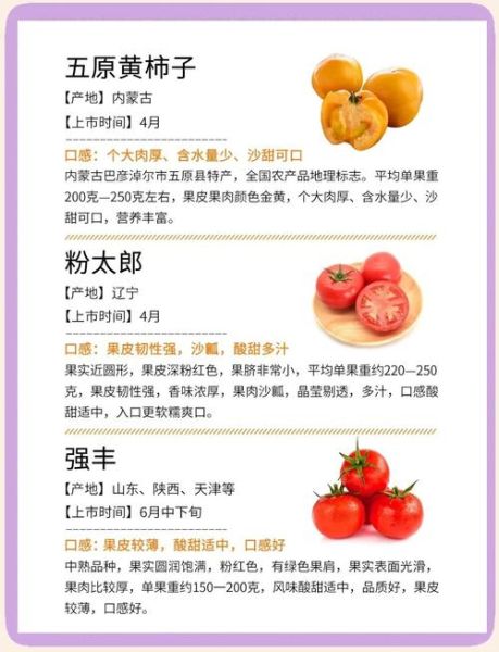 西红柿是水果还是蔬菜_为什么争议这么大-第1张图片-山城妙识