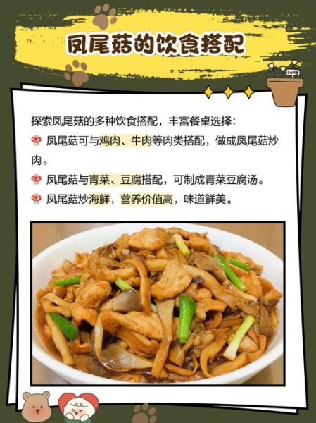 凤尾菇的营养价值_凤尾菇有哪些营养成分-第2张图片-山城妙识