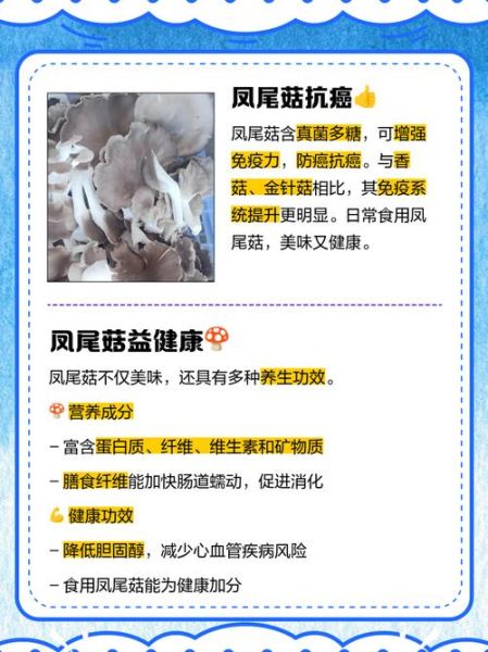 凤尾菇的营养价值_凤尾菇有哪些营养成分-第1张图片-山城妙识