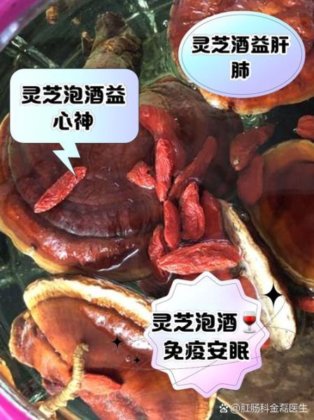 灵芝泡酒的功效与作用_灵芝泡酒怎么泡效果最好-第1张图片-山城妙识 灵芝泡酒的功效与作用_灵芝泡酒怎么泡效果最好-第1张图片-山城妙识