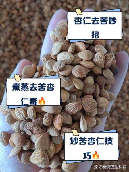 苦杏仁怎么去毒_苦杏仁去毒方法-第2张图片-山城妙识
