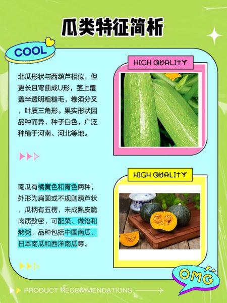 常见瓜类图片及名称大全_如何区分相似瓜类-第2张图片-山城妙识