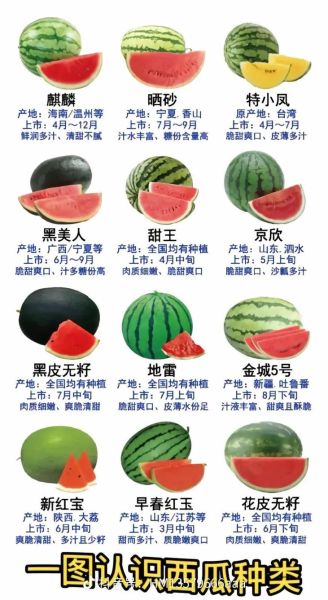 常见瓜类图片及名称大全_如何区分相似瓜类-第3张图片-山城妙识