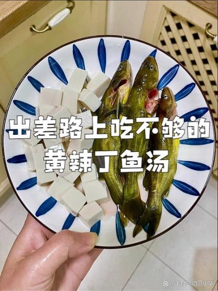 黄辣丁鱼汤怎么做好吃_黄辣丁鱼汤做法窍门-第1张图片-山城妙识 黄辣丁鱼汤怎么做好吃_黄辣丁鱼汤做法窍门-第1张图片-山城妙识