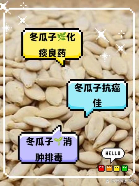 炒冬瓜子和生冬瓜子的区别_哪个功效更好-第1张图片-山城妙识