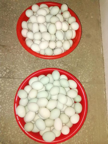 熟咸鸭蛋怎么吃_熟咸鸭蛋怎么吃才好吃-第1张图片-山城妙识