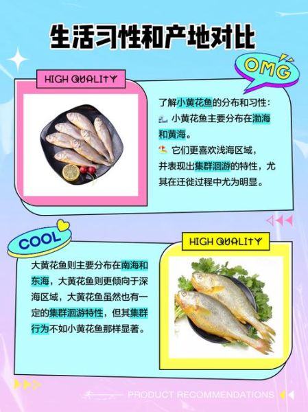 黄花鱼有哪些品种_大黄花鱼和小黄花鱼区别-第2张图片-山城妙识