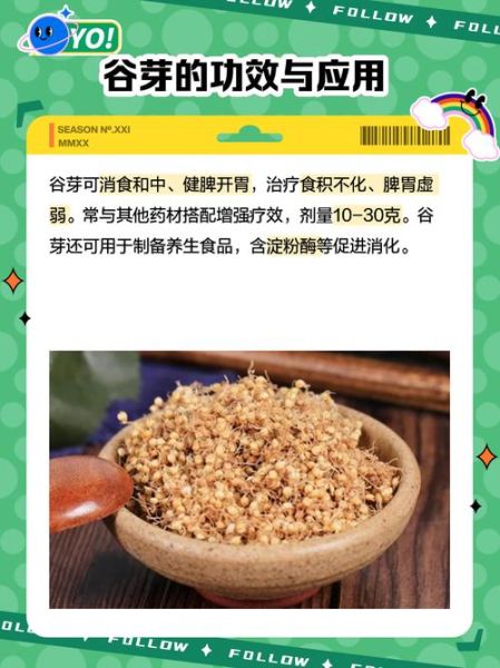 谷芽别名是什么_谷芽与麦芽区别-第1张图片-山城妙识