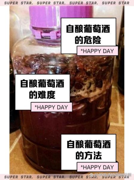 自酿葡萄酒如何去除甲醇_自酿葡萄酒甲醇超标怎么办-第2张图片-山城妙识