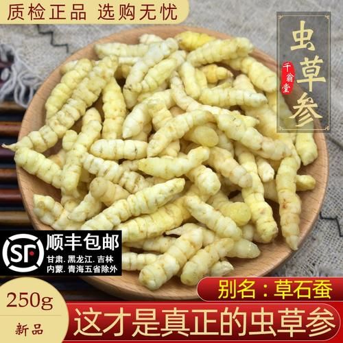 地参图片长什么样_地参和虫草参区别-第3张图片-山城妙识 地参图片长什么样_地参和虫草参区别-第3张图片-山城妙识