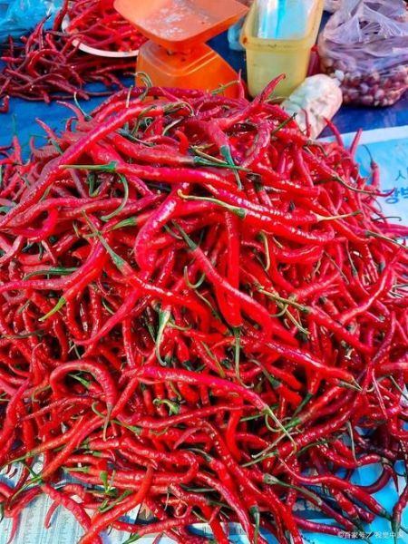 中国最辣的辣椒排名第一_到底有多辣-第2张图片-山城妙识 中国最辣的辣椒排名第一_到底有多辣-第2张图片-山城妙识